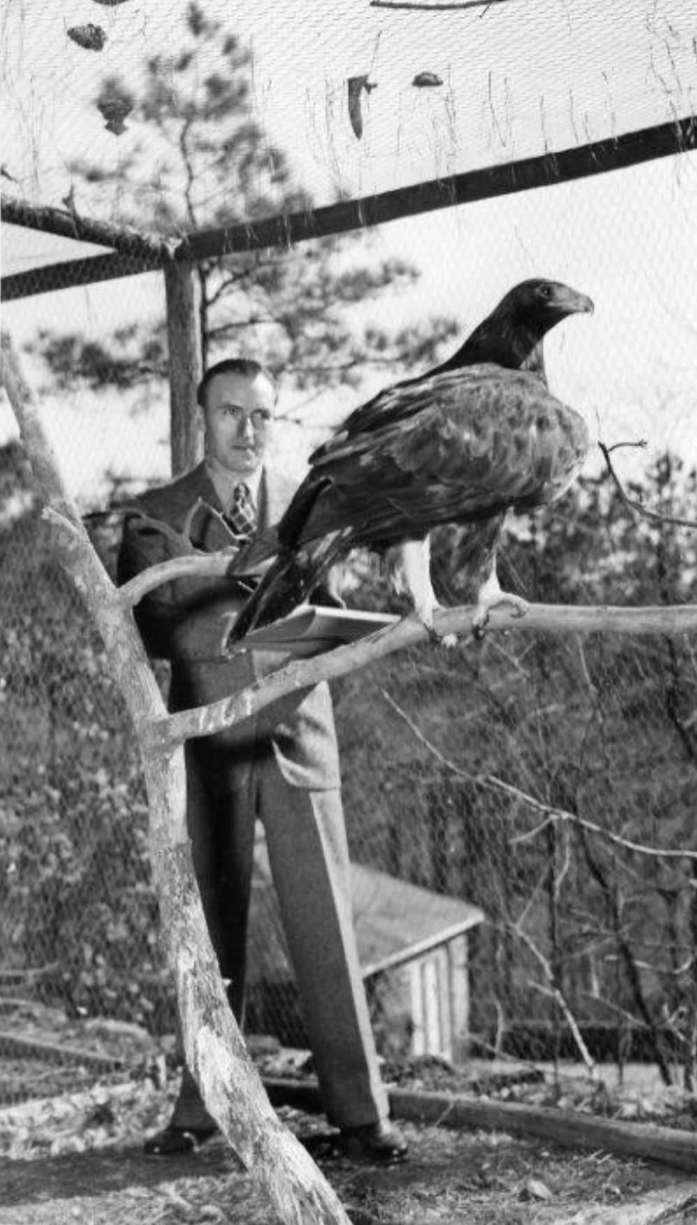 Athos Menaboni - New Georgia Encyclopedia