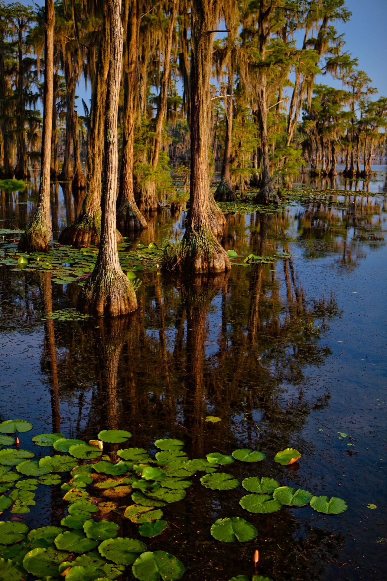 Banks Lake - New Georgia Encyclopedia