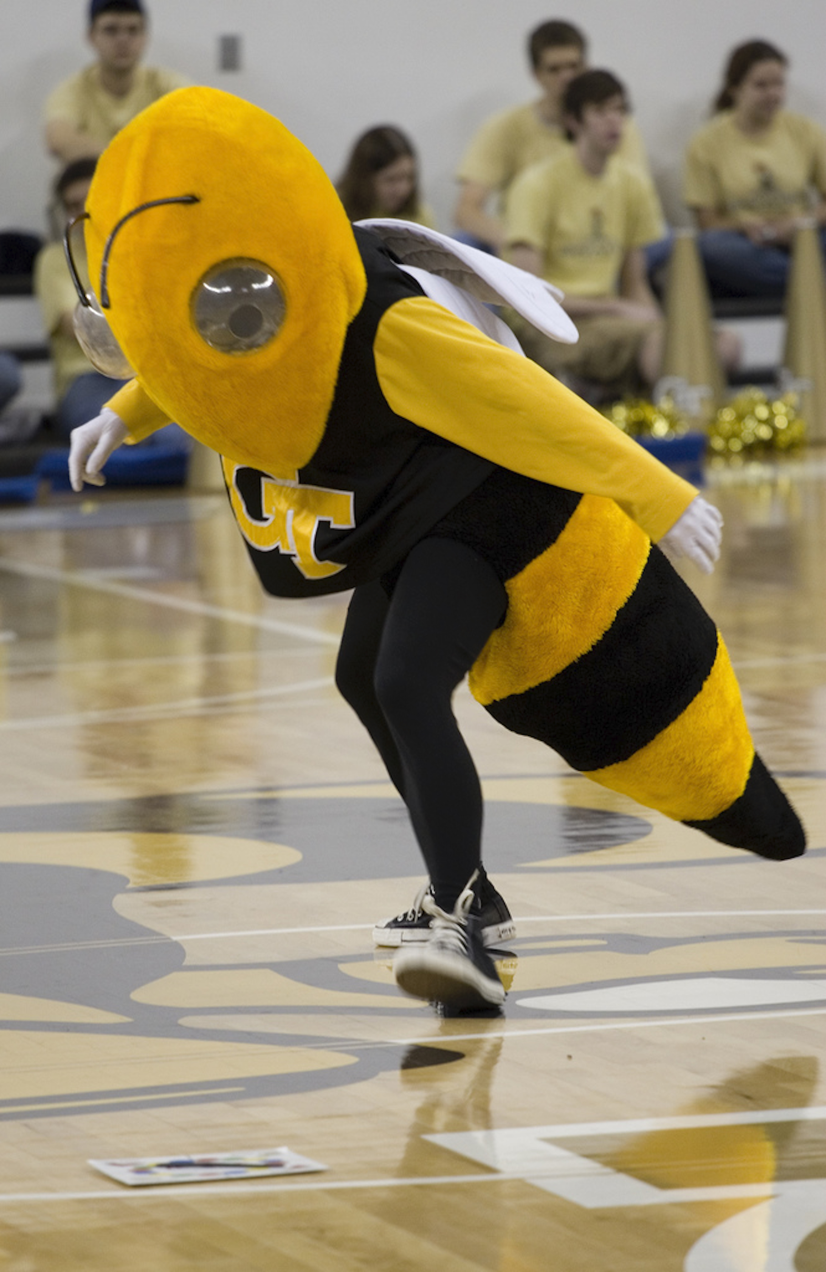Fashion Institute Of Technology Mascot
