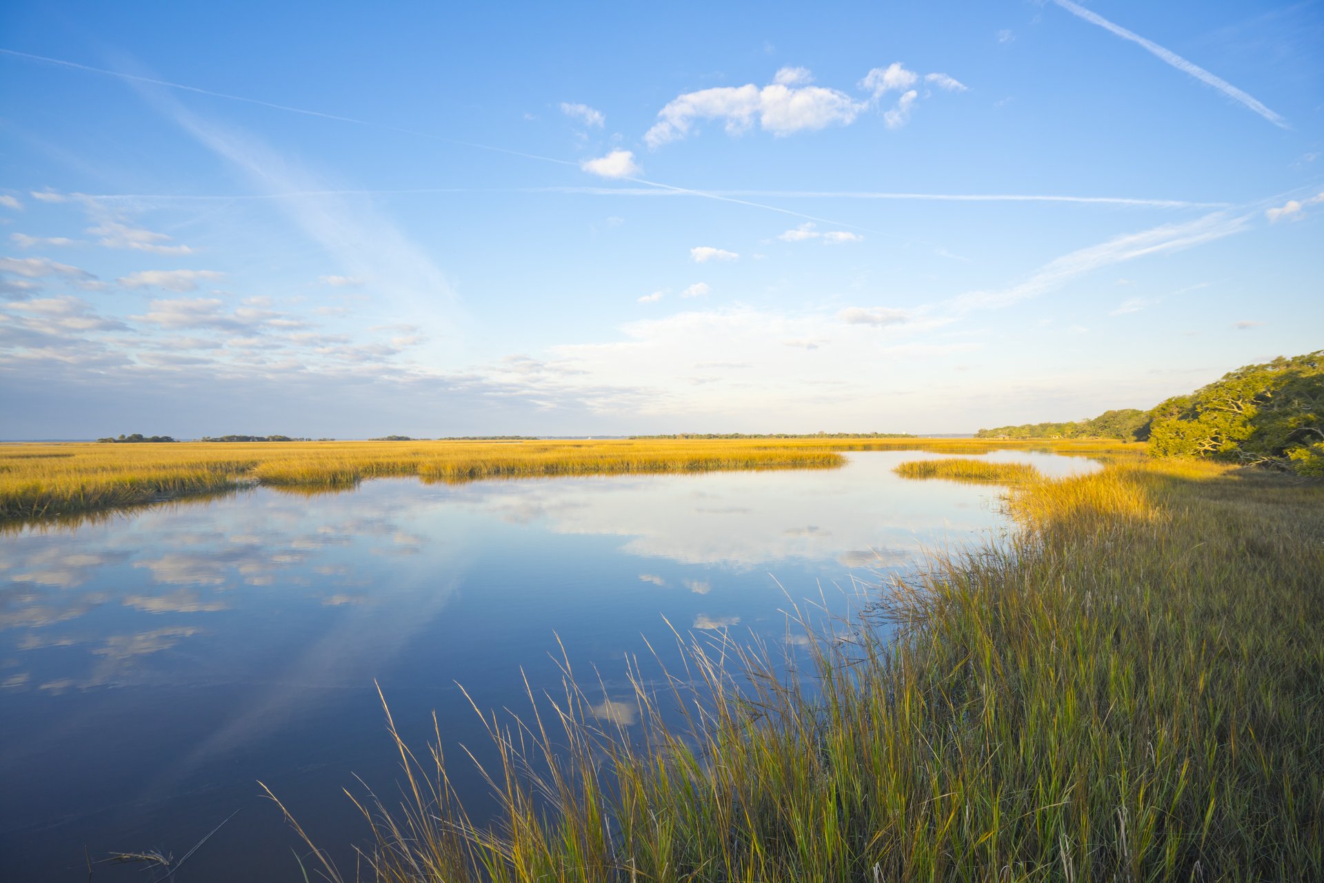 Marsh, Cumberland Island - New Georgia Encyclopedia