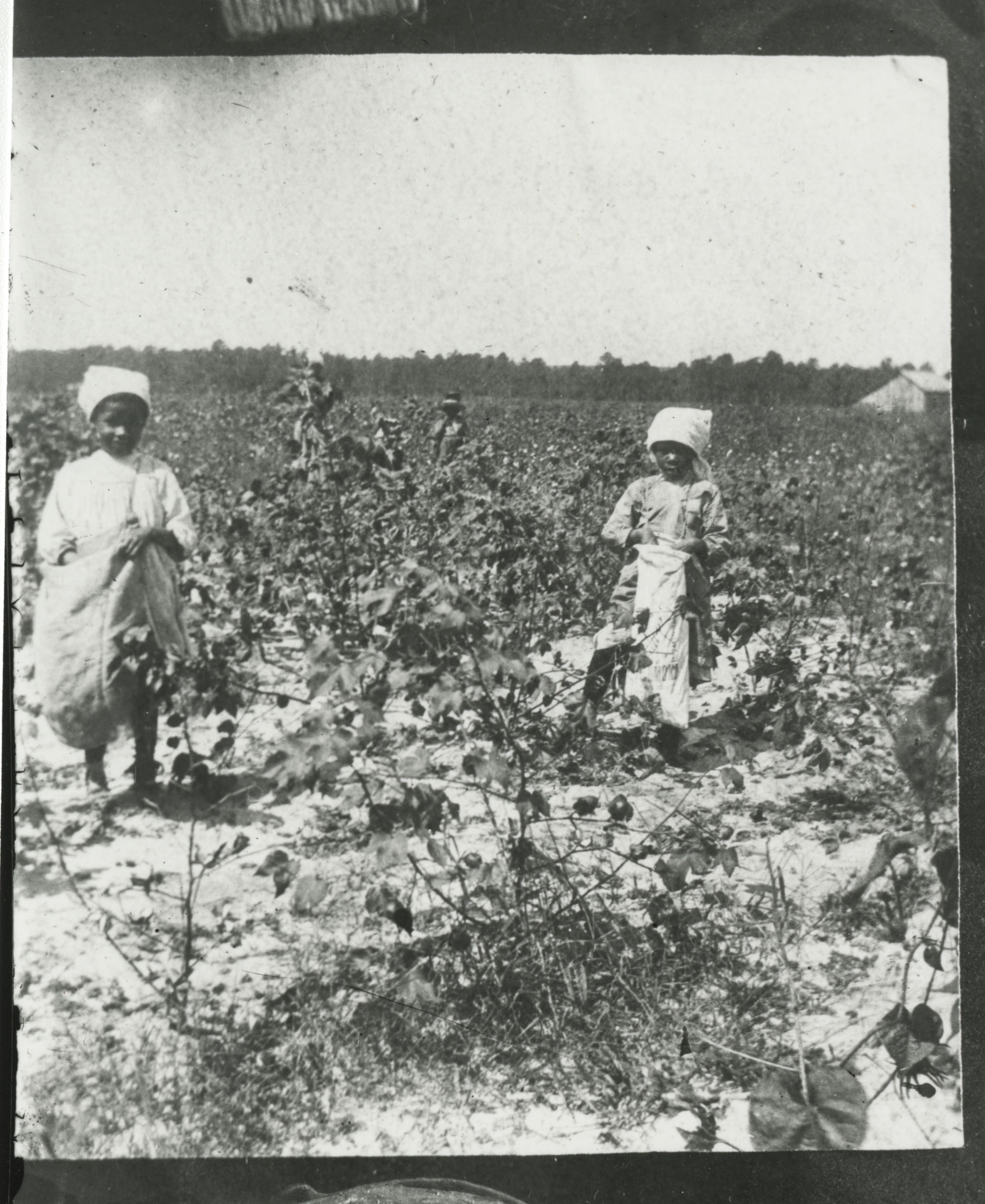 Enslaved Children - New Georgia Encyclopedia