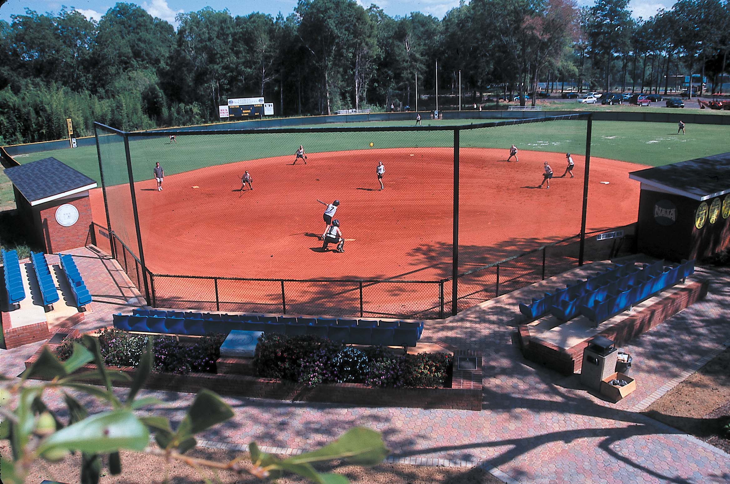 University Of Georgia Softball