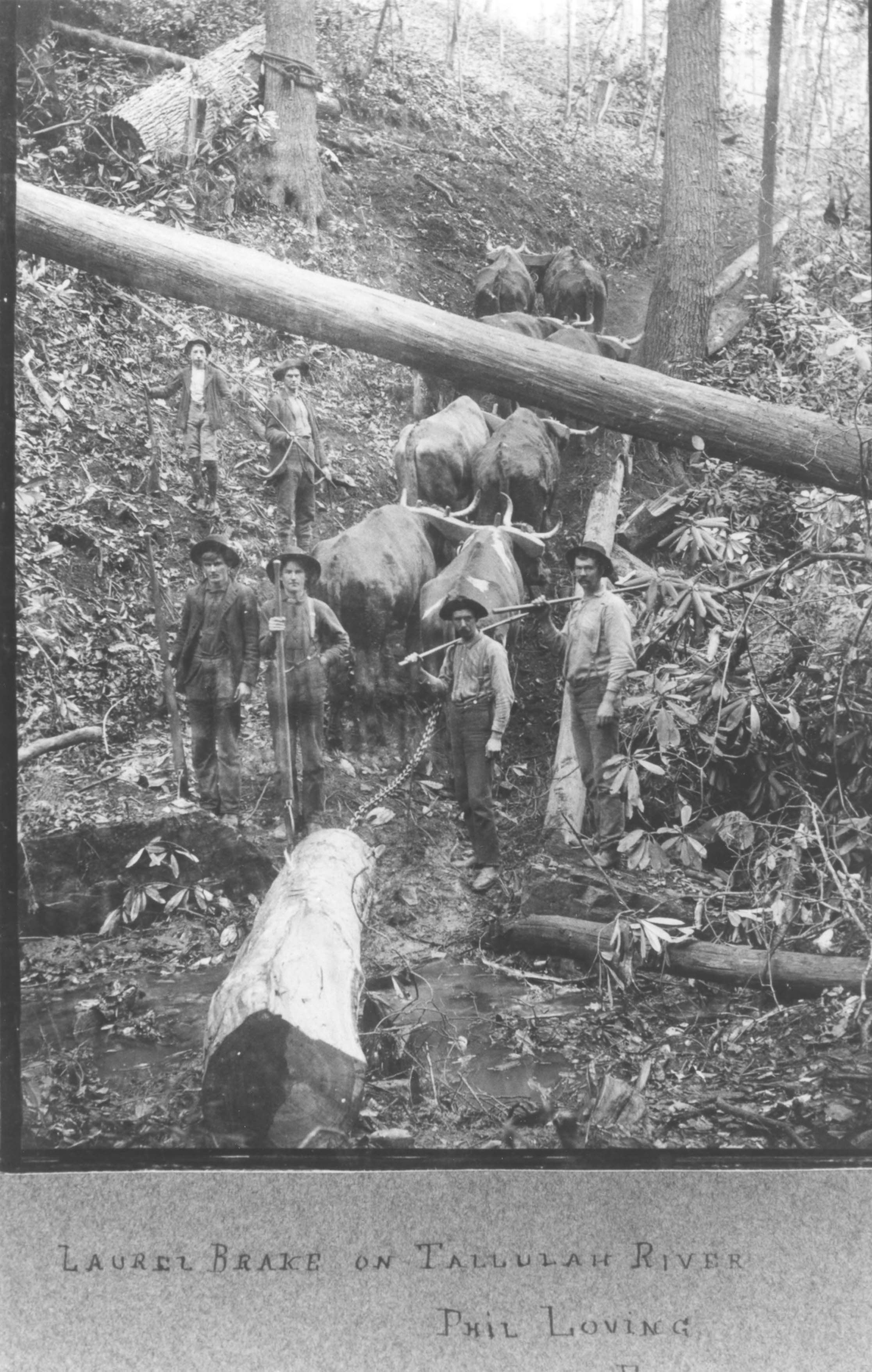 Logging, Tallulah River - New Georgia Encyclopedia