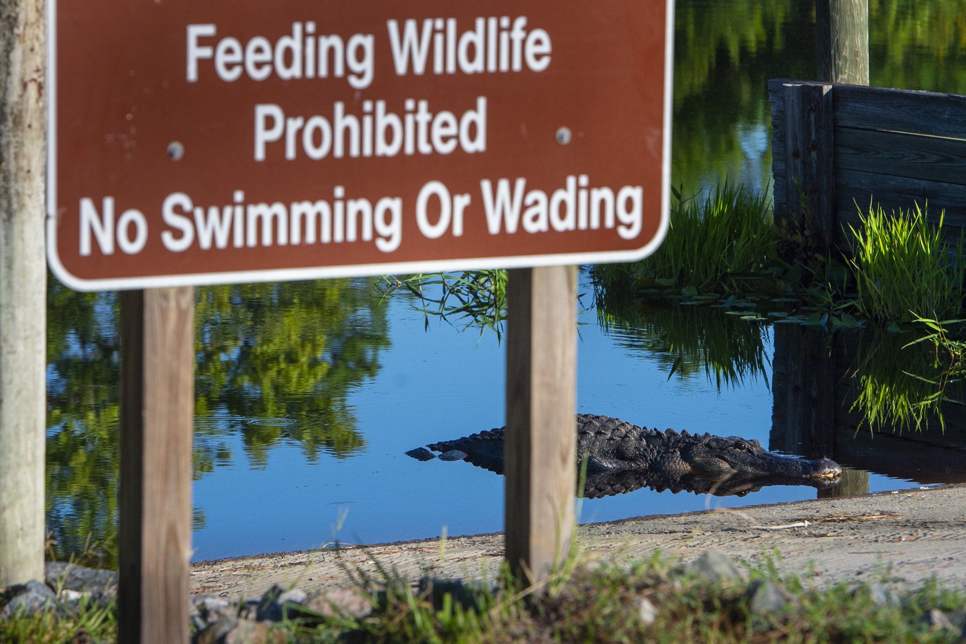 Okefenokee Swamp Sign