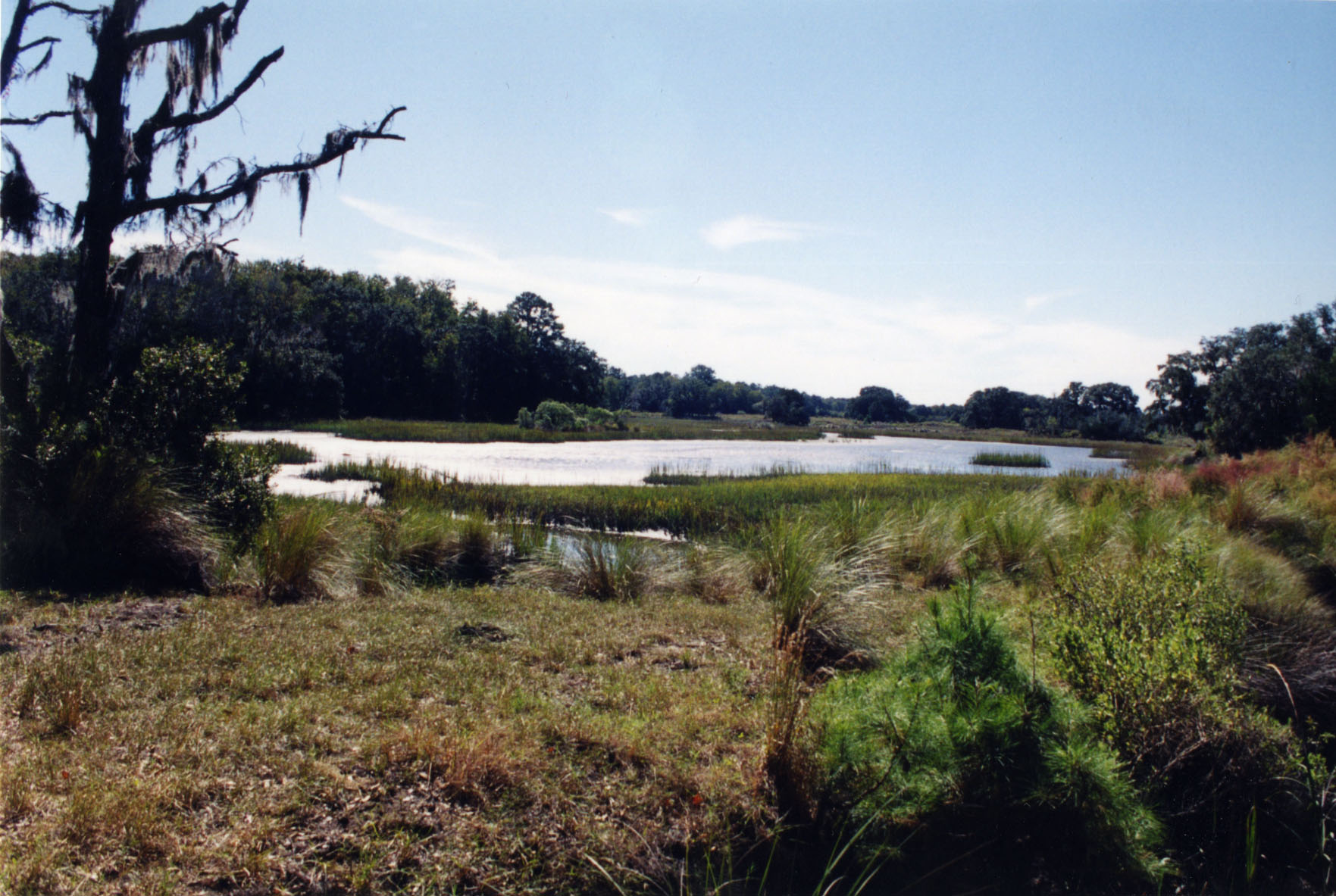 Sapelo Island Marsh - New Georgia Encyclopedia