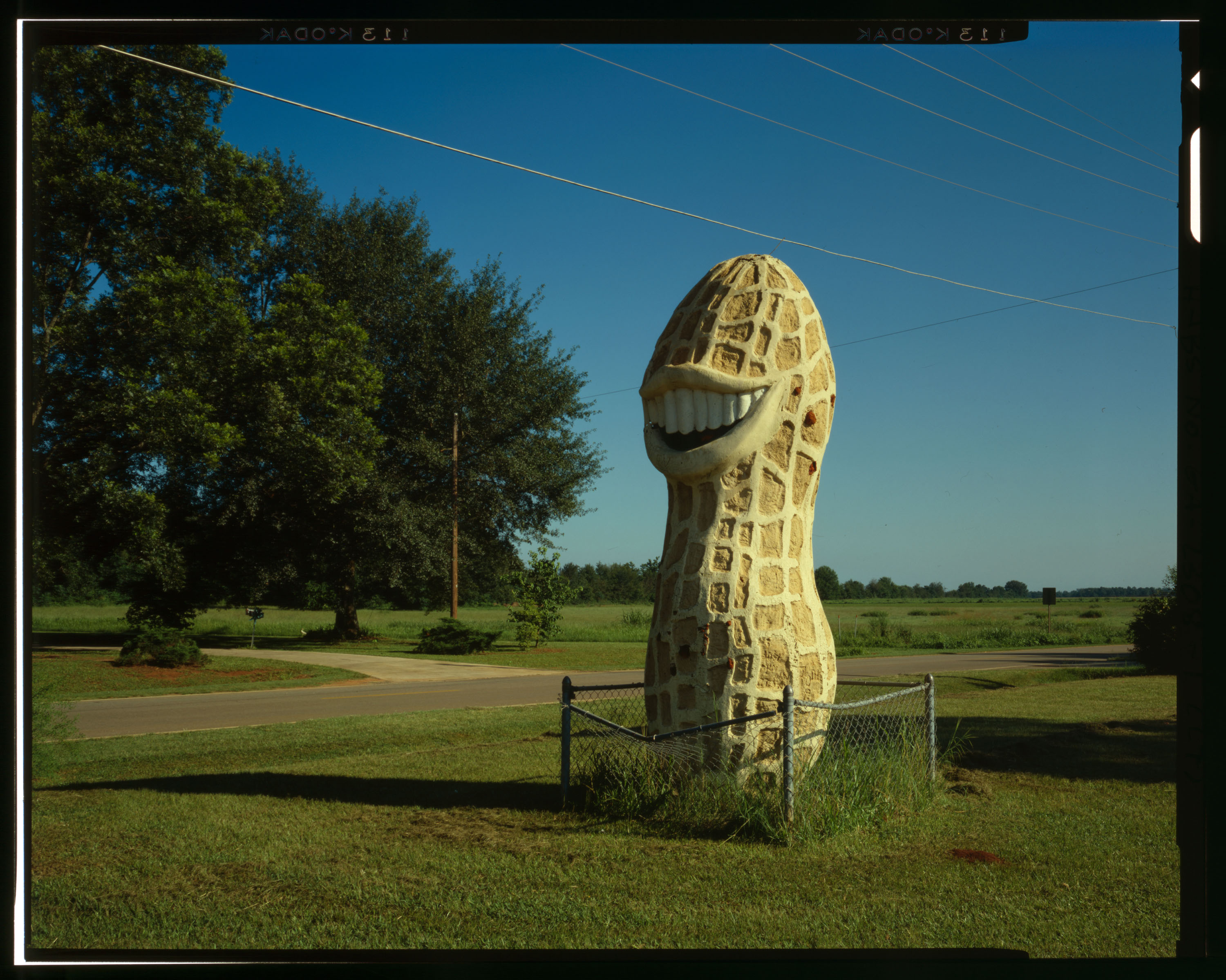 Smiling Peanut - New Georgia Encyclopedia