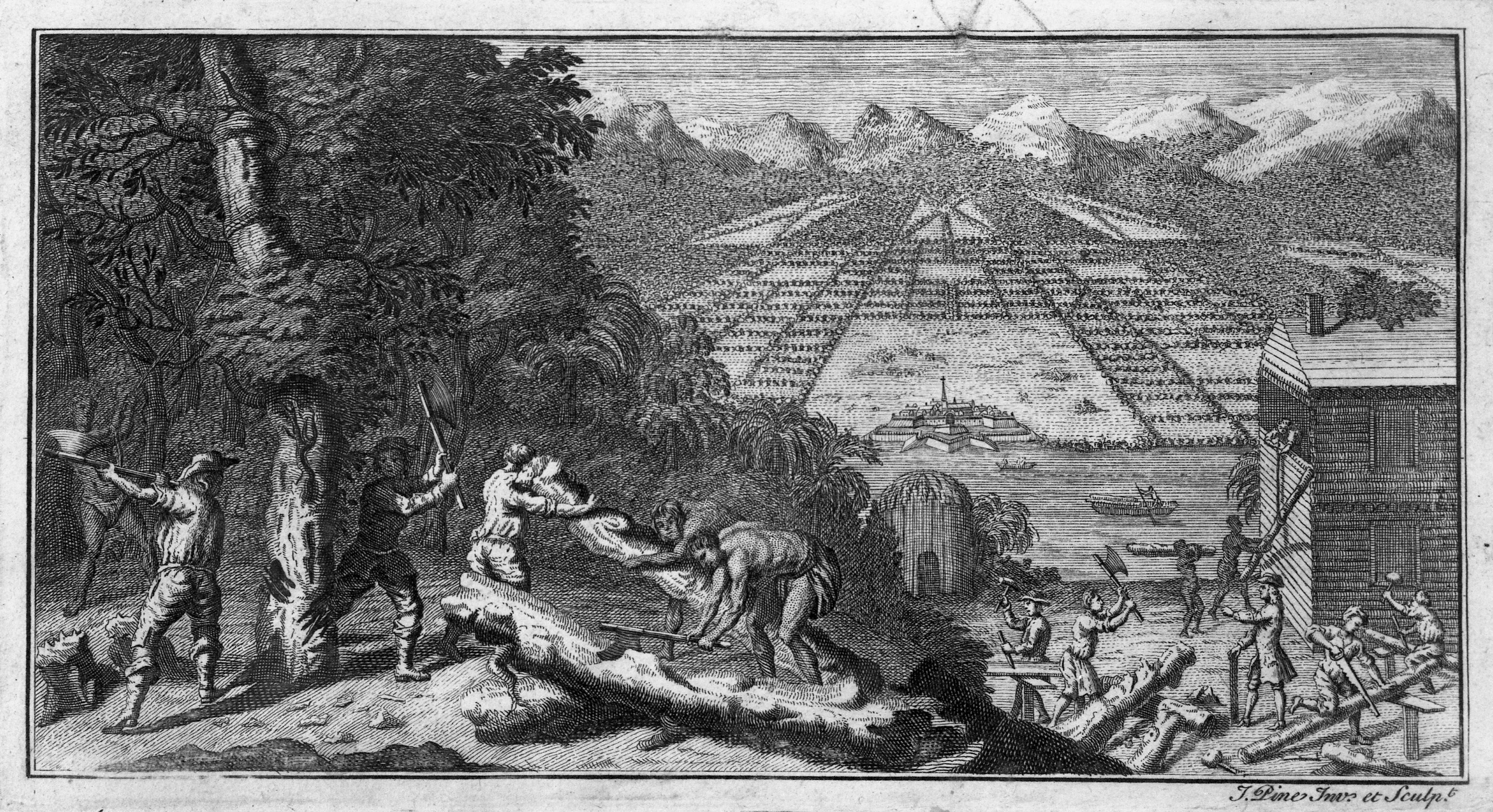 Colonial Georgia Economy