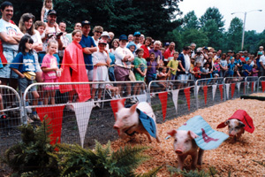 Georgia Mountain Fair - New Georgia Encyclopedia