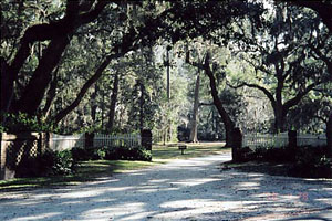 William Stephens - New Georgia Encyclopedia